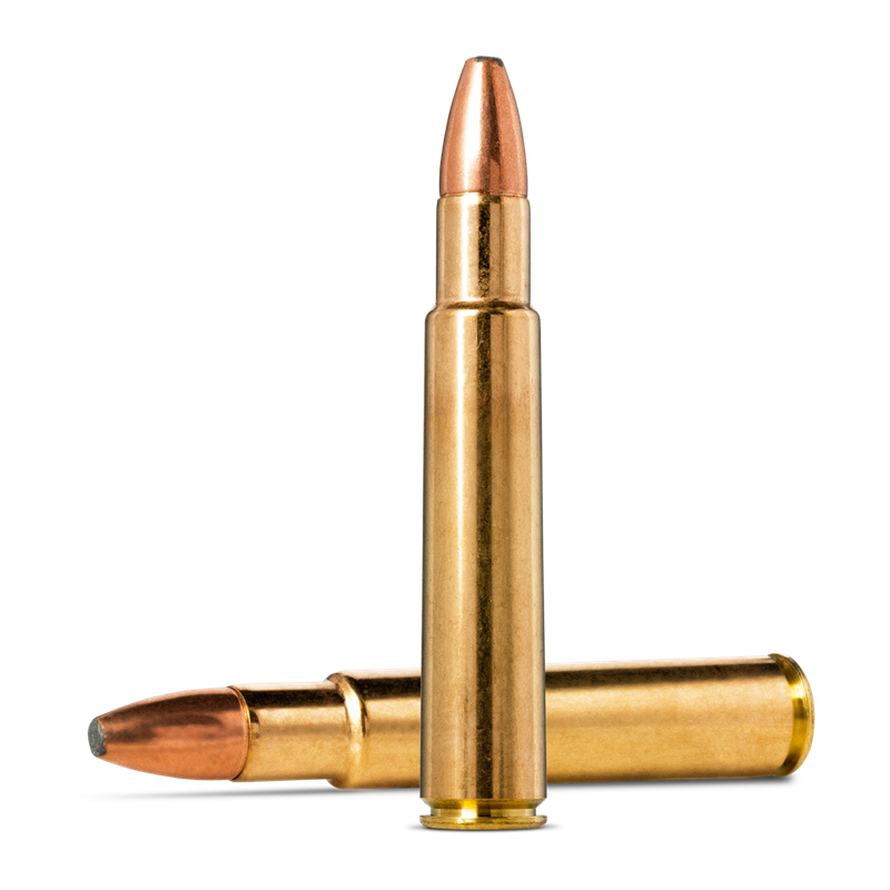 grosswild-kaliber-jagdmunition-waffen-munition-thehunter